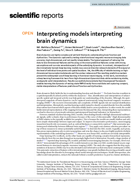 (PDF) Interpreting models interpreting brain dynamics