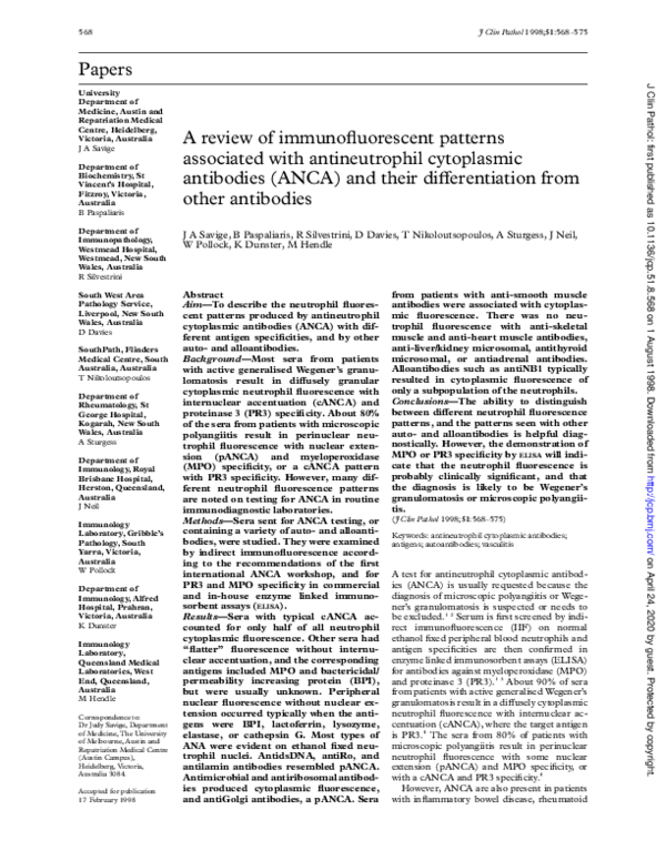 (PDF) A review of immunofluorescent patterns associated with antineutrophil cytoplasmic ...
