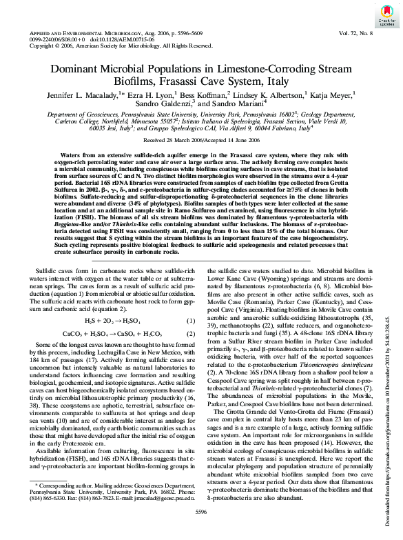 (PDF) Dominant Microbial Populations in Limestone-Corroding Stream ...