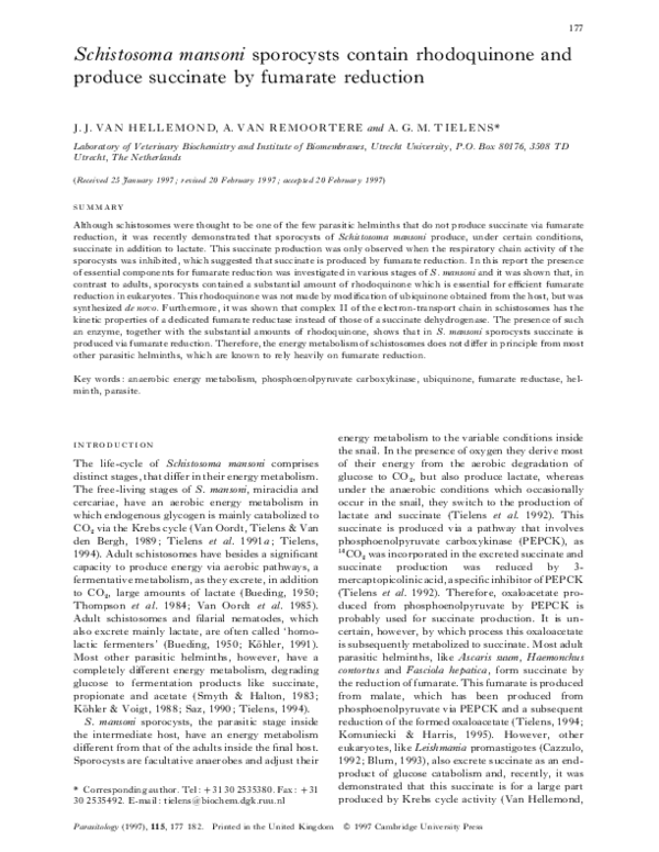 (PDF) Schistosoma mansoni sporocysts contain rhodoquinone and produce ...