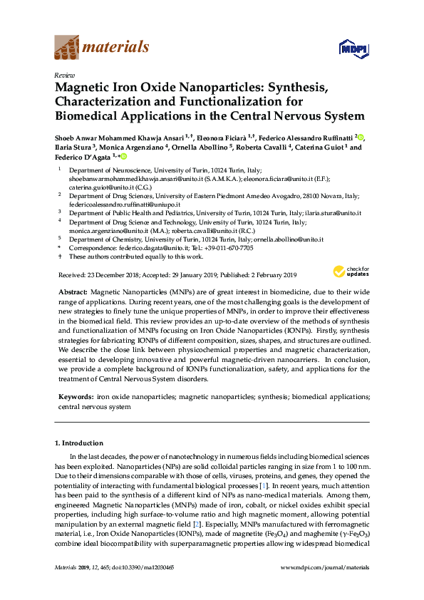 Pdf Magnetic Iron Oxide Nanoparticles Synthesis Characterization