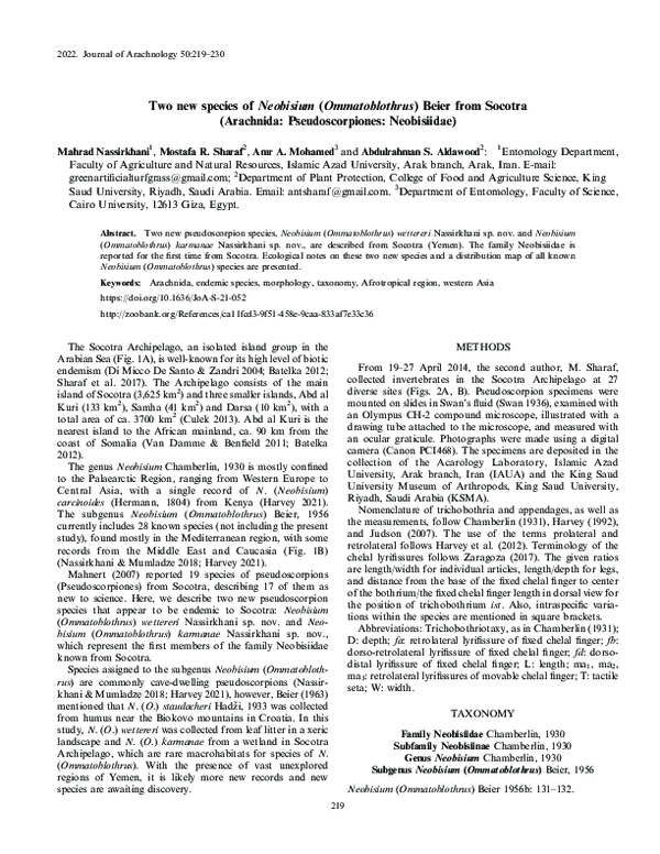 (PDF) Two new species of Neobisium (Ommatoblothrus) Beier from Socotra ...