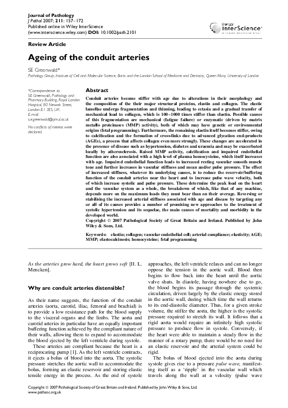 (PDF) Ageing of the conduit arteries
