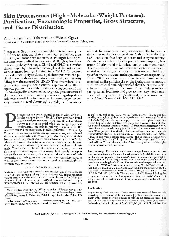(PDF) Skin Proteasomes (High-Molecular-Weight Protease): Purification ...