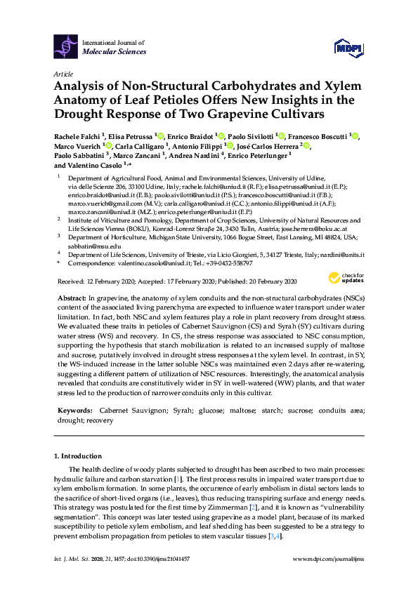(PDF) Analysis of Non-Structural Carbohydrates and Xylem Anatomy of ...