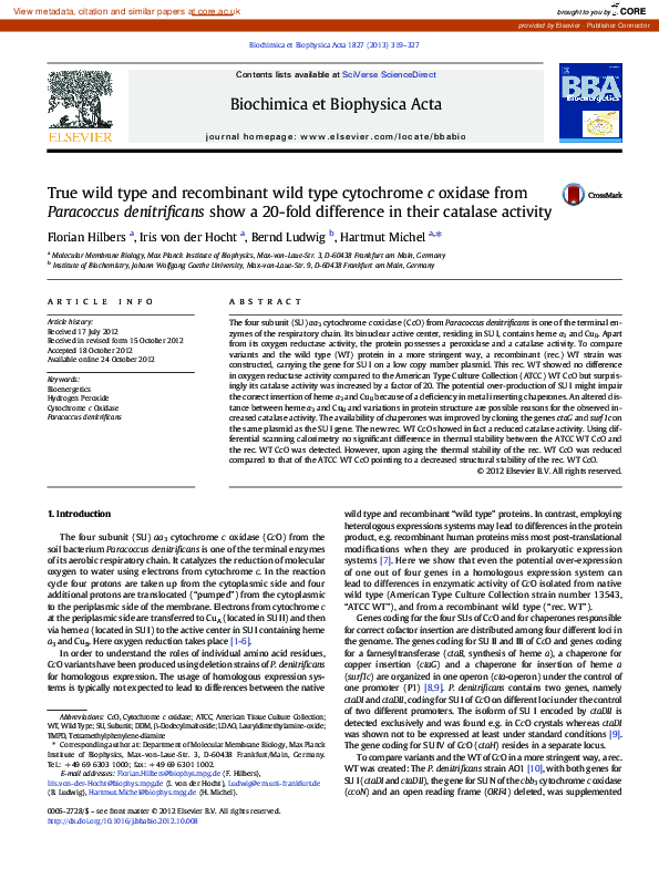 Pdf True Wild Type And Recombinant Wild Type Cytochrome C Oxidase From Paracoccus