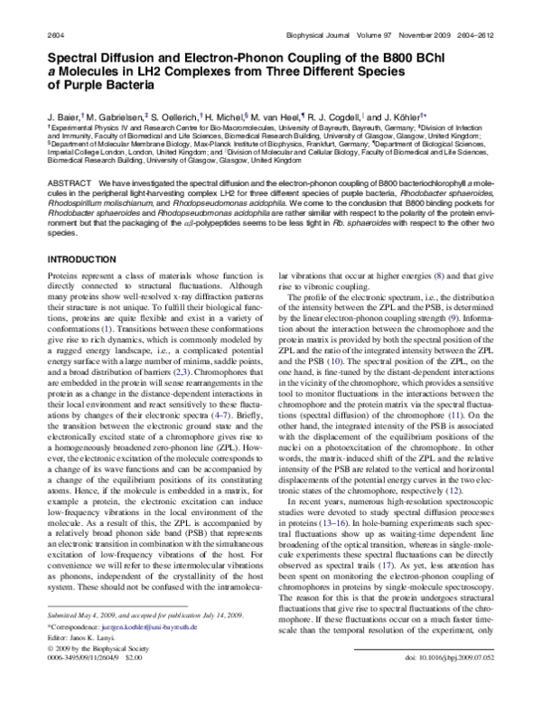 (PDF) Spectral Diffusion and Electron-Phonon Coupling of the B800 BChl a Molecules in LH2 ...