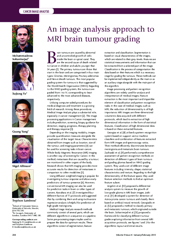 (PDF) An image analysis approach to MRI brain tumour grading