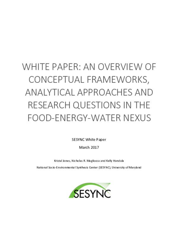 (PDF) White Paper: An Overview of Conceptual Frameworks, Analytical ...