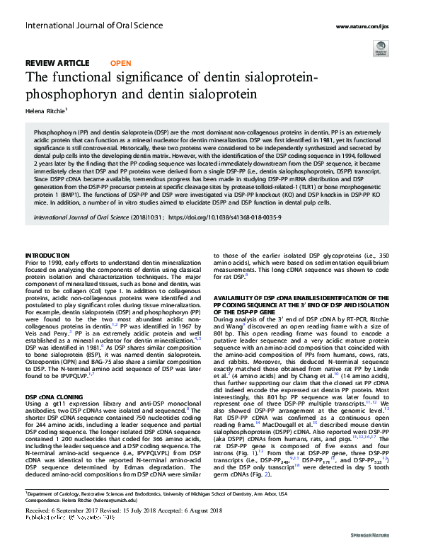 (PDF) The functional significance of dentin sialoprotein-phosphophoryn ...