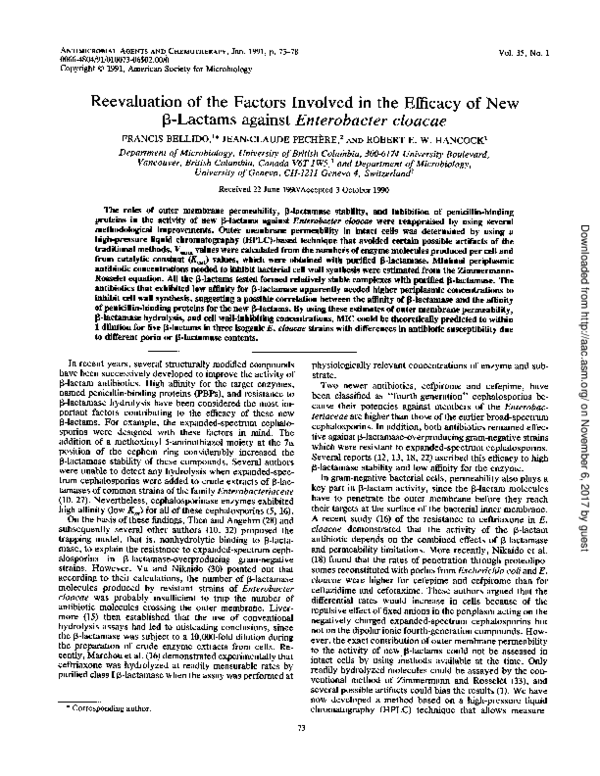 (PDF) Reevaluation of the factors involved in the efficacy of new beta ...