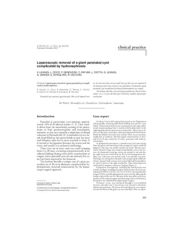 (PDF) Laparoscopic removal of a giant paratubal cyst complicated by ...