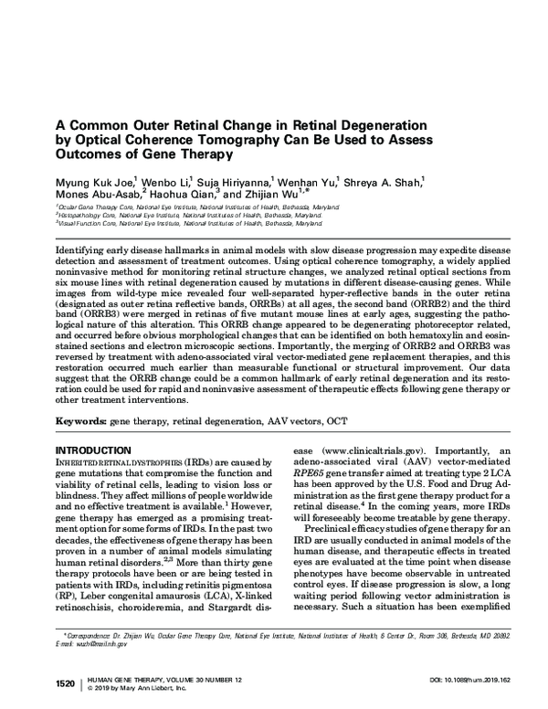 (PDF) A Common Outer Retina Change in Retinal Degeneration by Optical ...