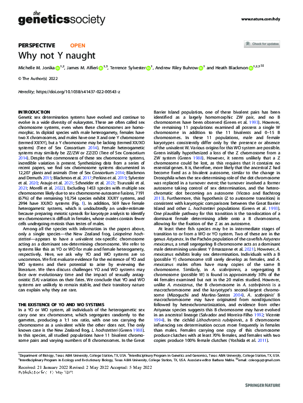 (PDF) Why not Y naught