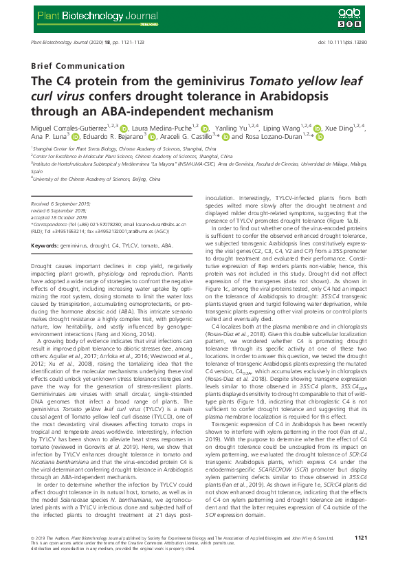 (PDF) The C4 protein from the geminivirus Tomato yellow leaf curl virus ...