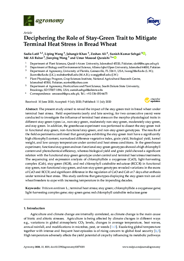(PDF) Deciphering the Role of Stay-Green Trait to Mitigate Terminal ...