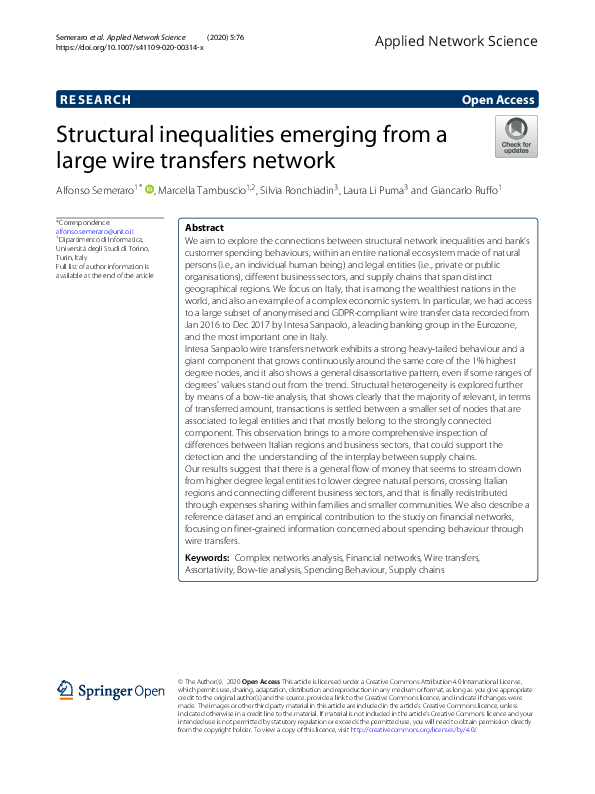 (PDF) Structural inequalities emerging from a large wire transfers network