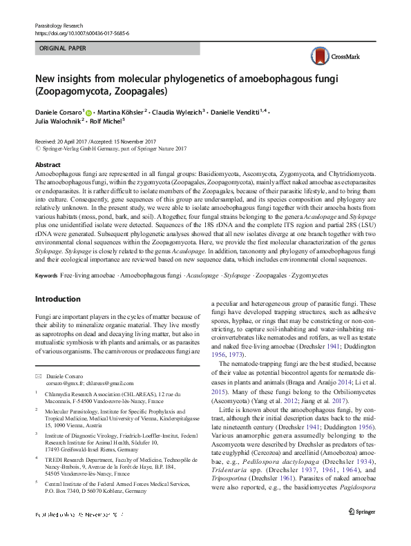 (PDF) New insights from molecular phylogenetics of amoebophagous fungi ...
