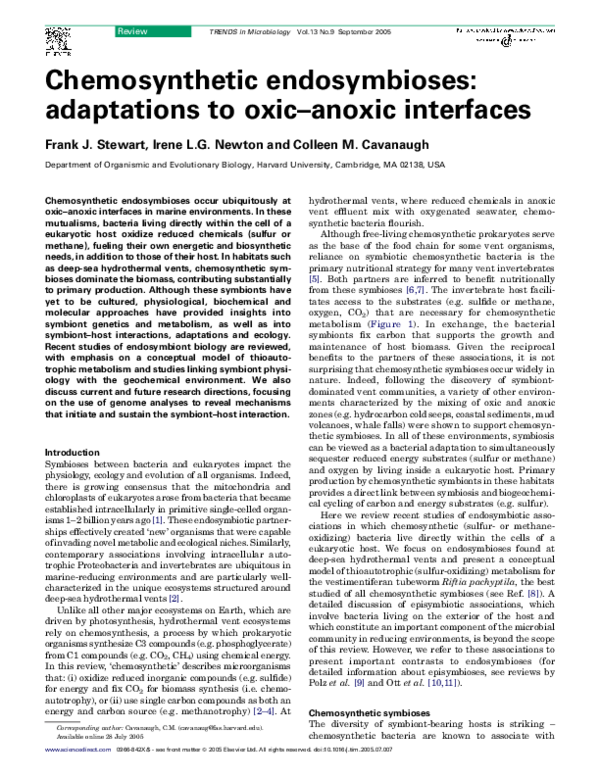 (PDF) Chemosynthetic endosymbioses: adaptations to oxic–anoxic interfaces