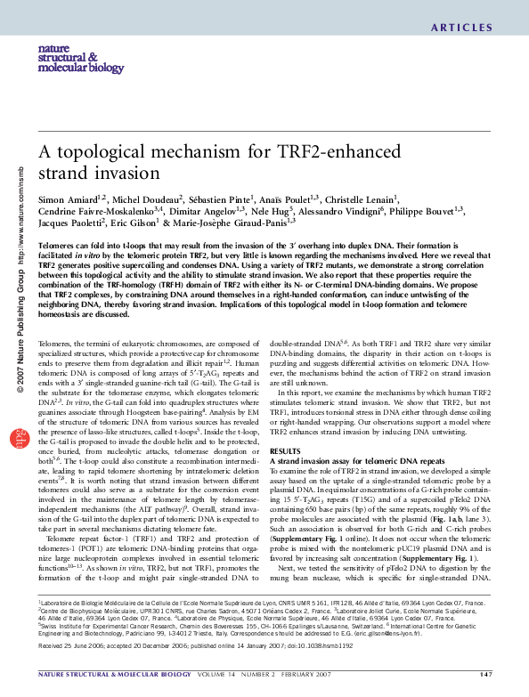 (PDF) A topological mechanism for TRF2-enhanced strand invasion