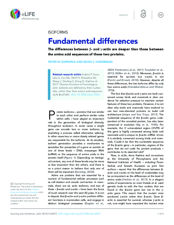 (PDF) Fundamental differences