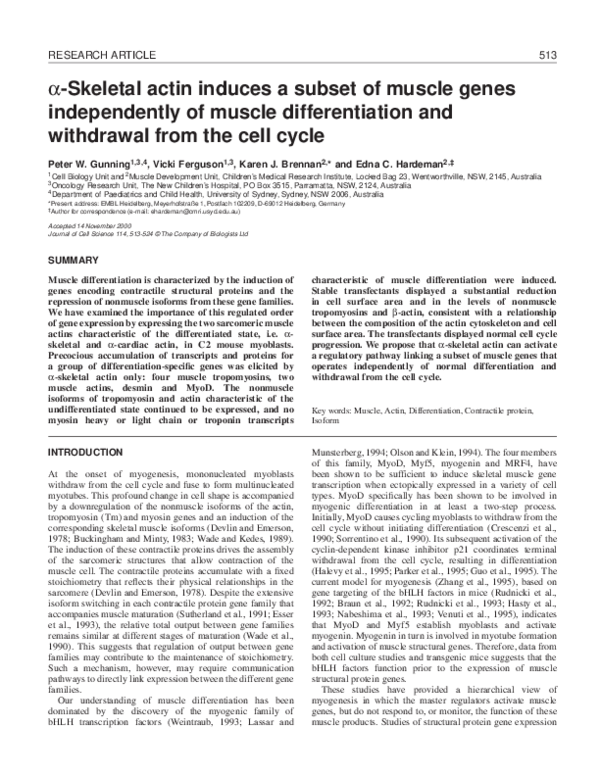 (PDF) Alpha-skeletal actin induces a subset of muscle genes ...