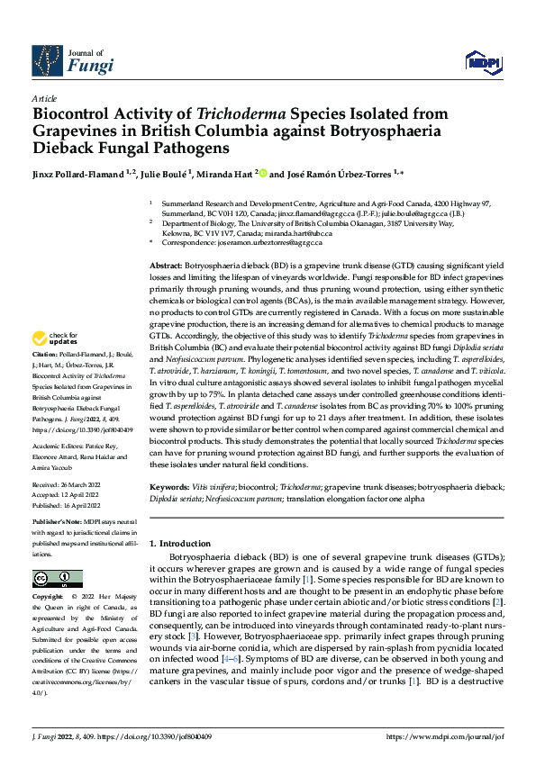 Pdf Trichoderma Spp And Bacillus Subtilis For Control Of Dactylonectria Macrodidyma In