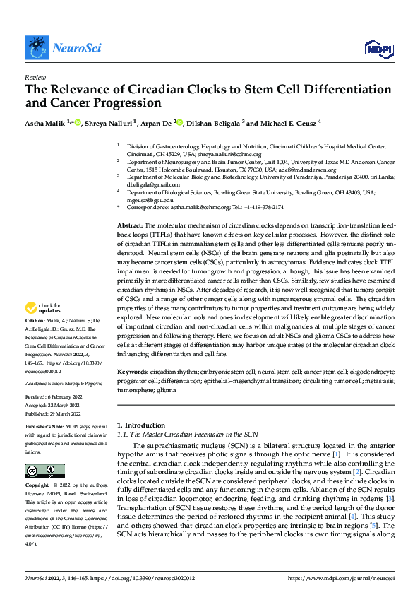(PDF) The Relevance of Circadian Clocks to Stem Cell Differentiation ...