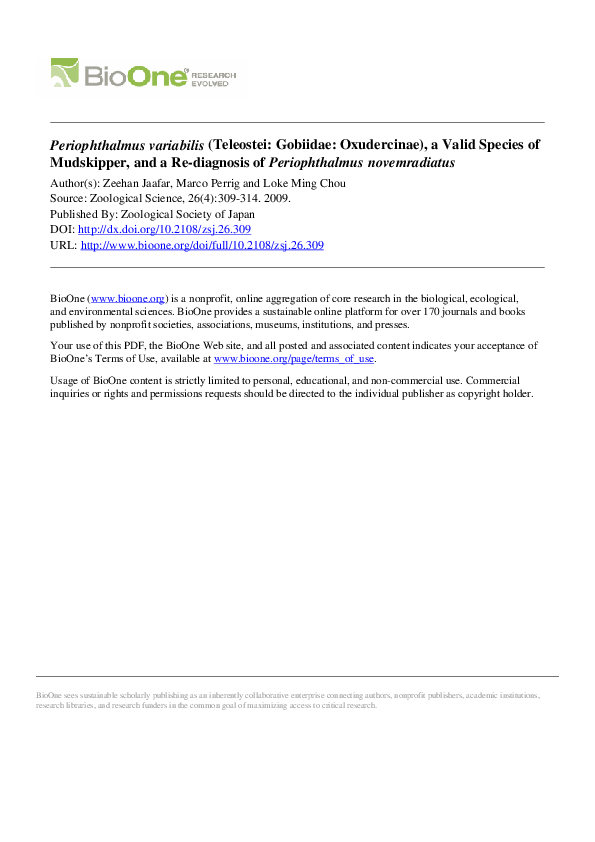 (PDF) Periophthalmus variabilis(Teleostei: Gobiidae: Oxudercinae), a ...