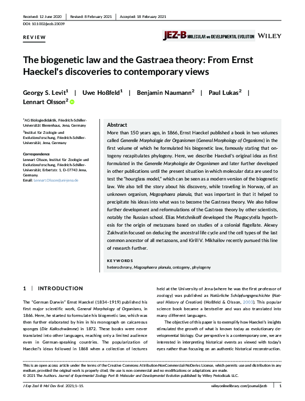(PDF) The Biogenetic Law and the Gastraea Theory: From Ernst Haeckels ...