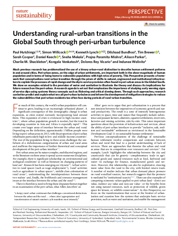 (PDF) Understanding rural–urban transitions in the Global South through ...