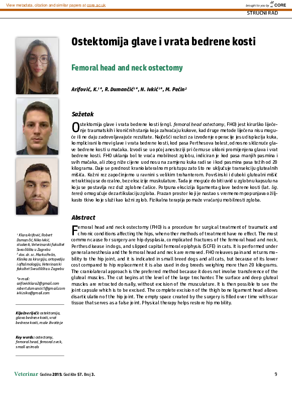 (PDF) Femoral head and neck ostectomy