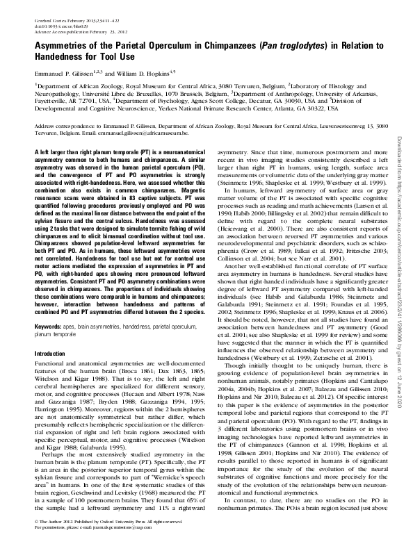 (PDF) Asymmetries of the Parietal Operculum in Chimpanzees (Pan ...