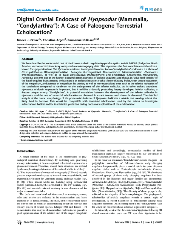 (PDF) Digital Cranial Endocast of Hyopsodus (Mammalia, “Condylarthra ...