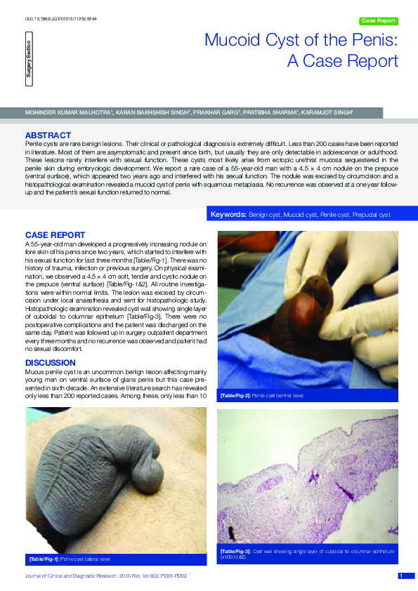 (PDF) Mucoid Cyst of the Penis: A Case Report