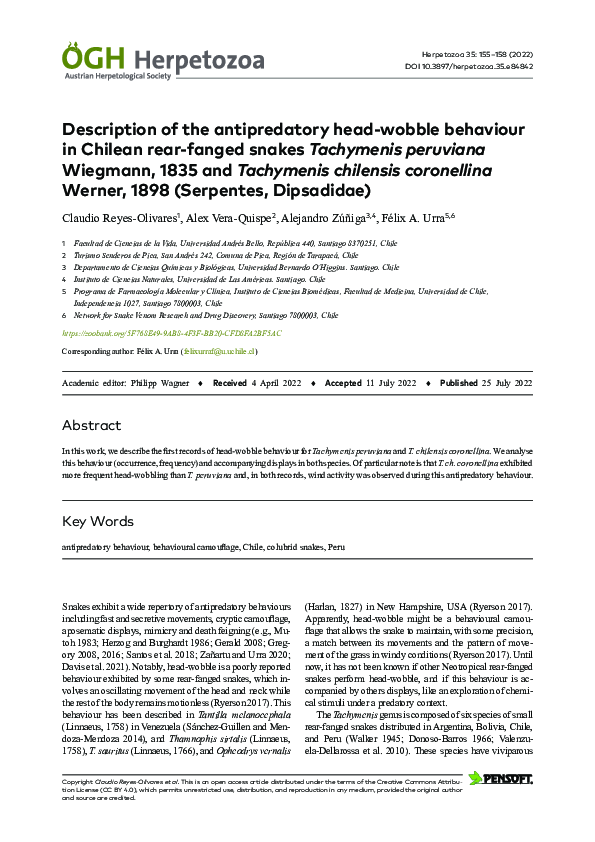 (PDF) Description of the antipredatory head-wobble behaviour in Chilean ...