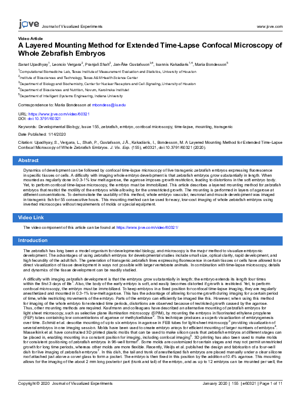 (PDF) A Layered Mounting Method for Extended Time-Lapse Confocal ...