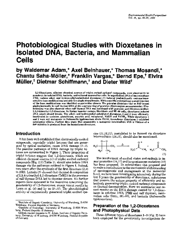 (PDF) Photobiological studies with dioxetanes in isolated DNA, bacteria ...