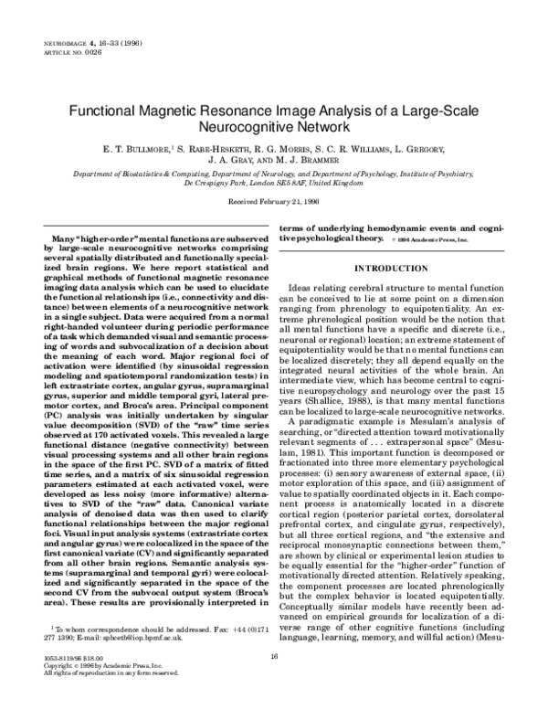 (PDF) Functional Magnetic Resonance Image Analysis of a Large-Scale Neurocognitive Network