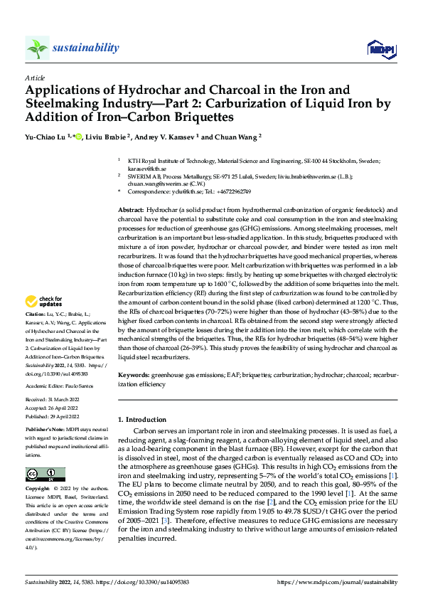 (PDF) Applications of Hydrochar and Charcoal in the Iron and ...