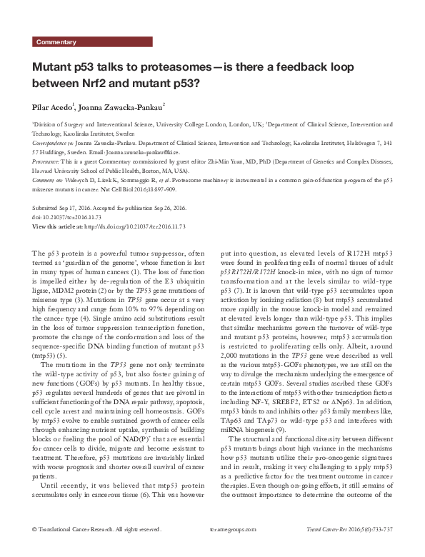 (PDF) Mutant p53 talks to proteasomes—is there a feedback loop between Nrf2 and mutant p53?