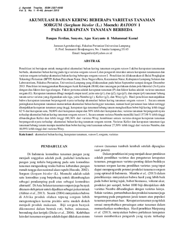 (PDF) AKUMULASI BAHAN KERING BEBERAPA VARIETAS TANAMAN SORGUM (Sorghum ...