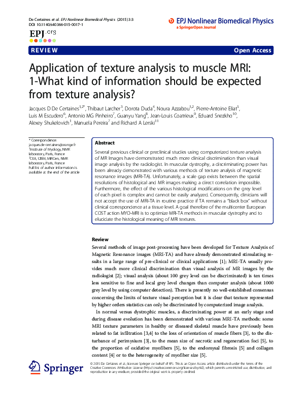 (PDF) Application of texture analysis to muscle MRI: 1-What kind of ...