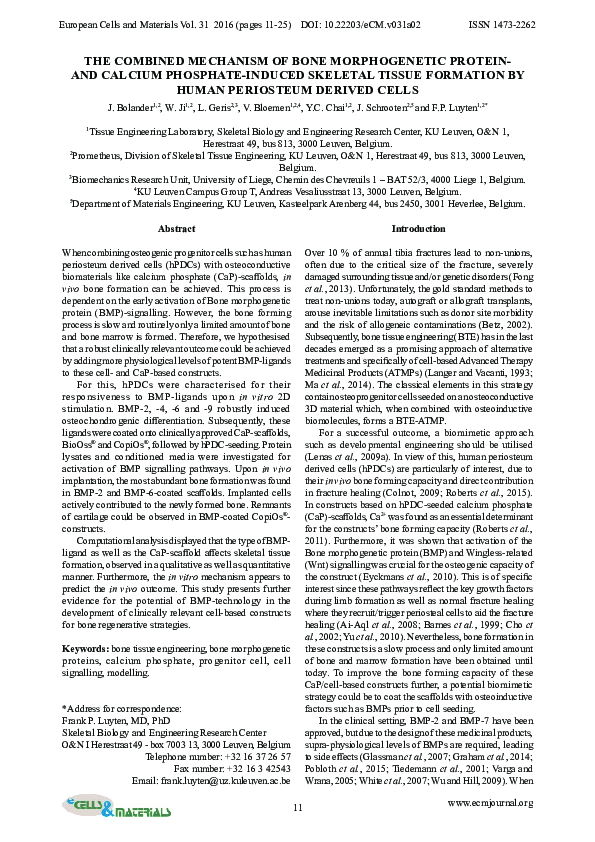 (PDF) The combined mechanism of bone morphogenetic protein- and calcium phosphate-induced ...