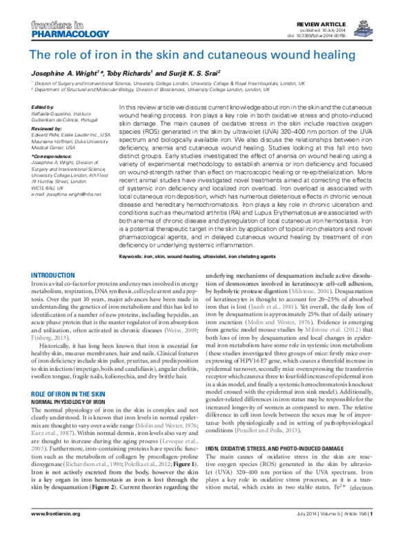 (PDF) The role of iron in the skin and cutaneous wound healing