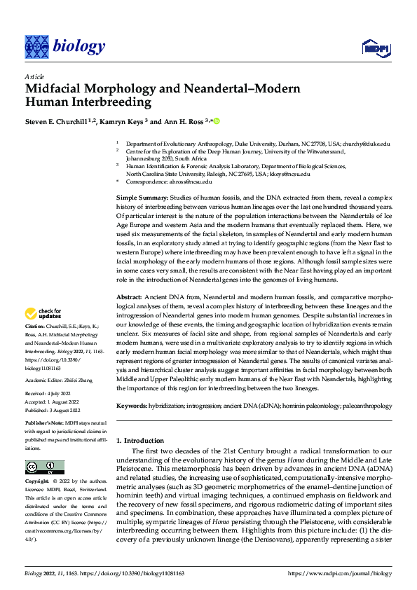 (PDF) Midfacial Morphology and Neandertal–Modern Human Interbreeding