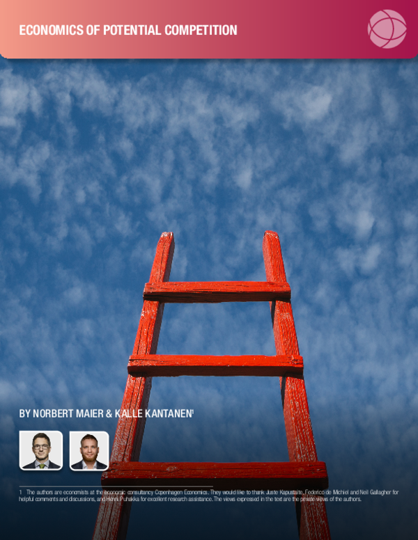 (PDF) Economics of Potential Competition
