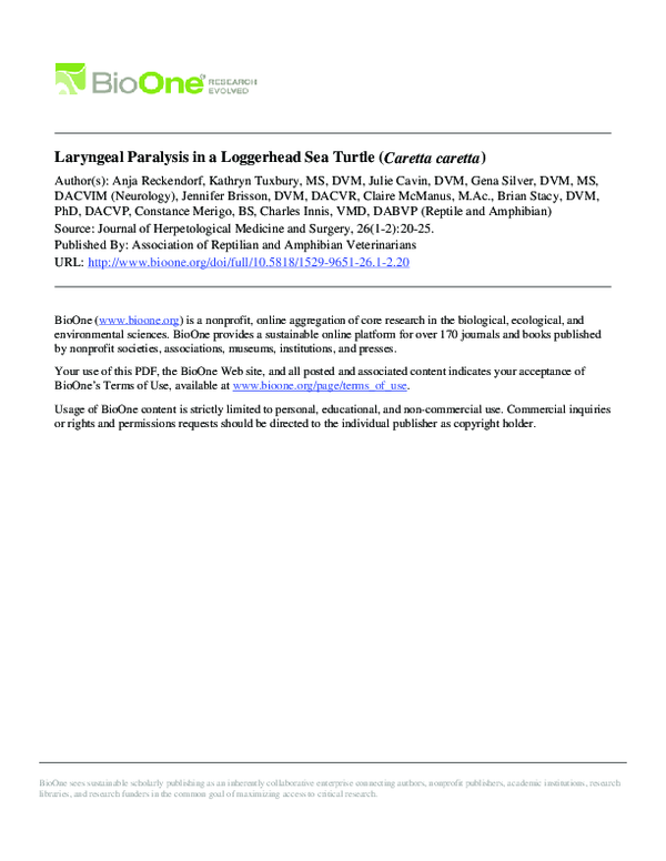 (PDF) Laryngeal Paralysis in a Loggerhead Sea Turtle (Caretta caretta)
