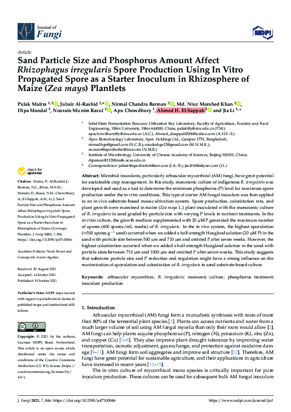 (PDF) Sand Particle Size and Phosphorus Amount Affect Rhizophagus ...