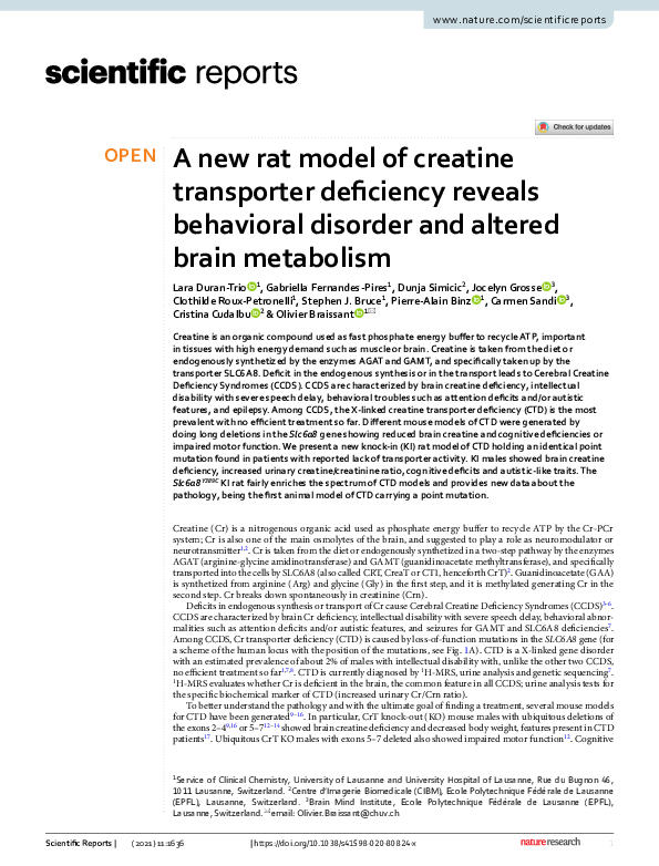 (PDF) A new rat model of creatine transporter deficiency reveals ...